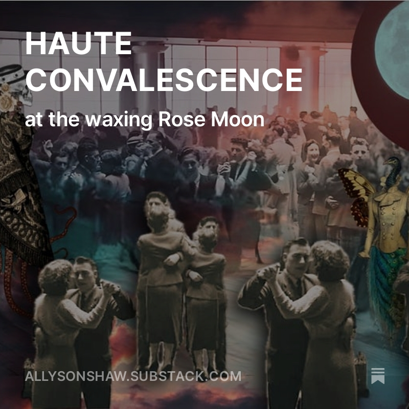 HAUTE CONVALESCENCE – Allyson Shaw, Author of Ashes and Stones